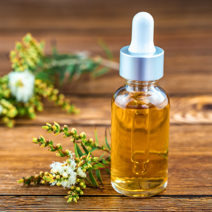 Face Mist Witch Hazel & Tea Tree 100ml | Rawfoodshop